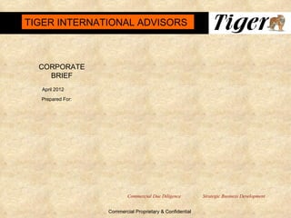 Tiger Capabilities | PPT