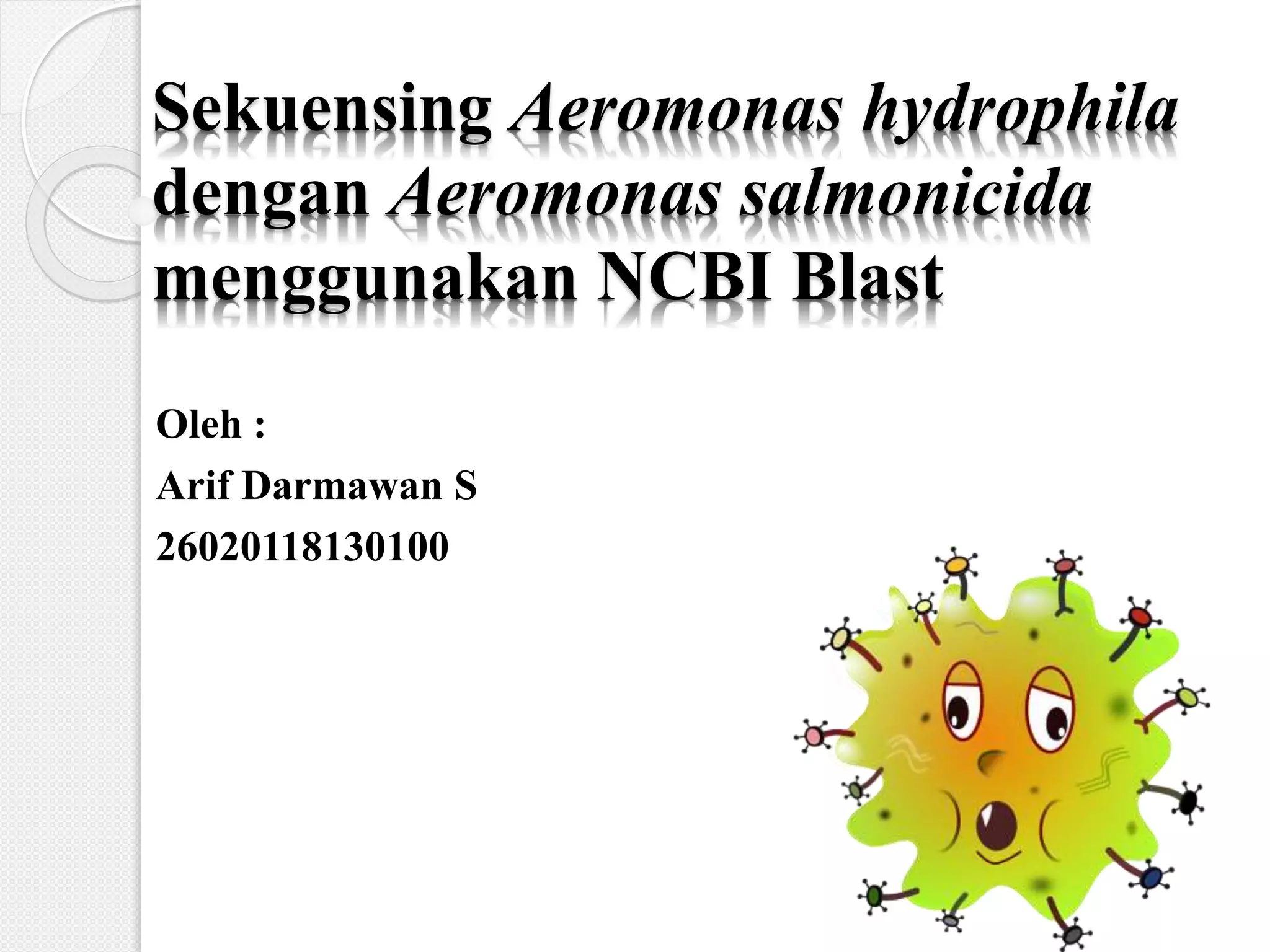 Kelompok 9 Perbandingan Struktur Protein pada Bakteri Aeromonas ...