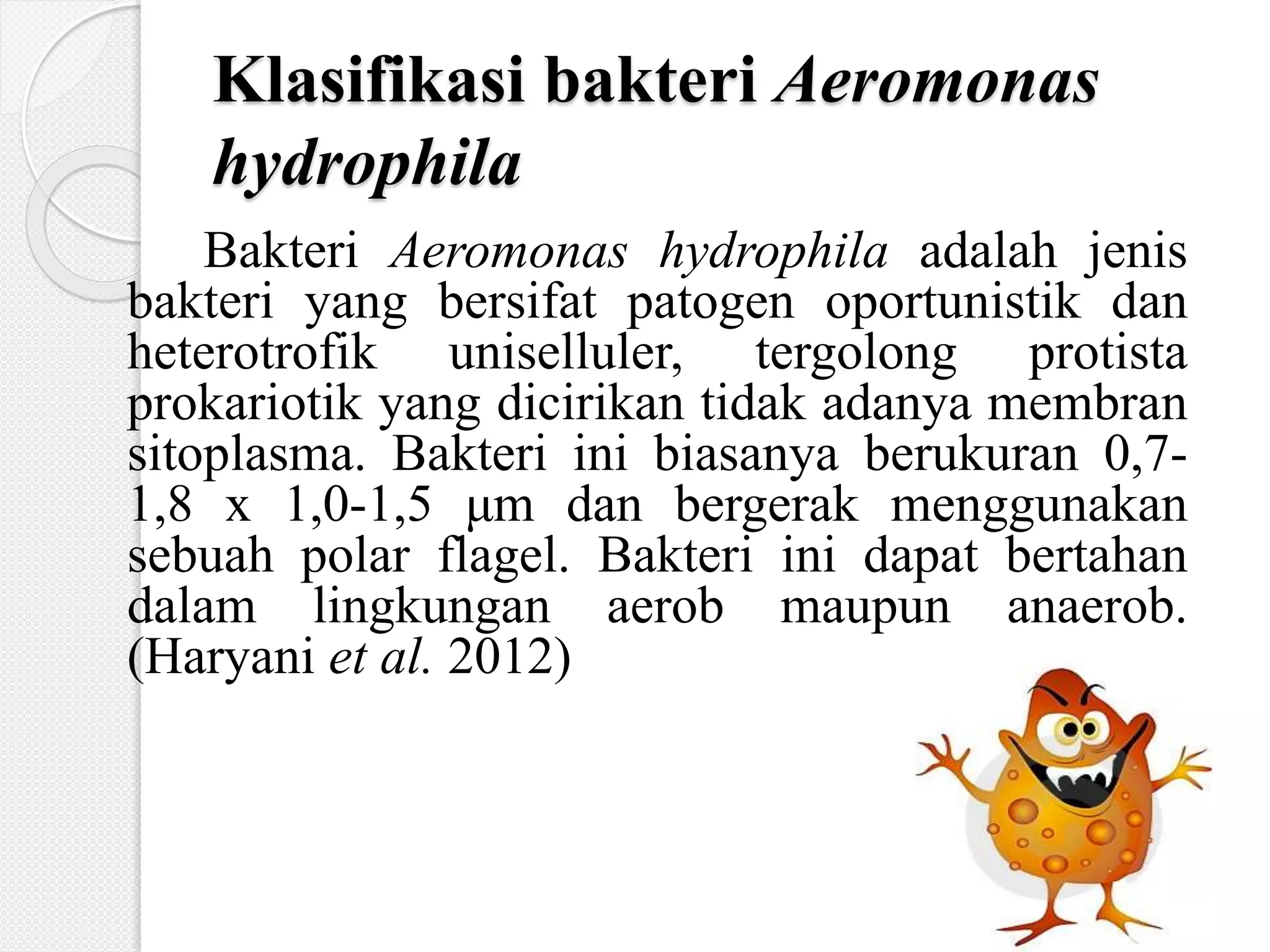 Kelompok 9 Perbandingan Struktur Protein pada Bakteri Aeromonas ...