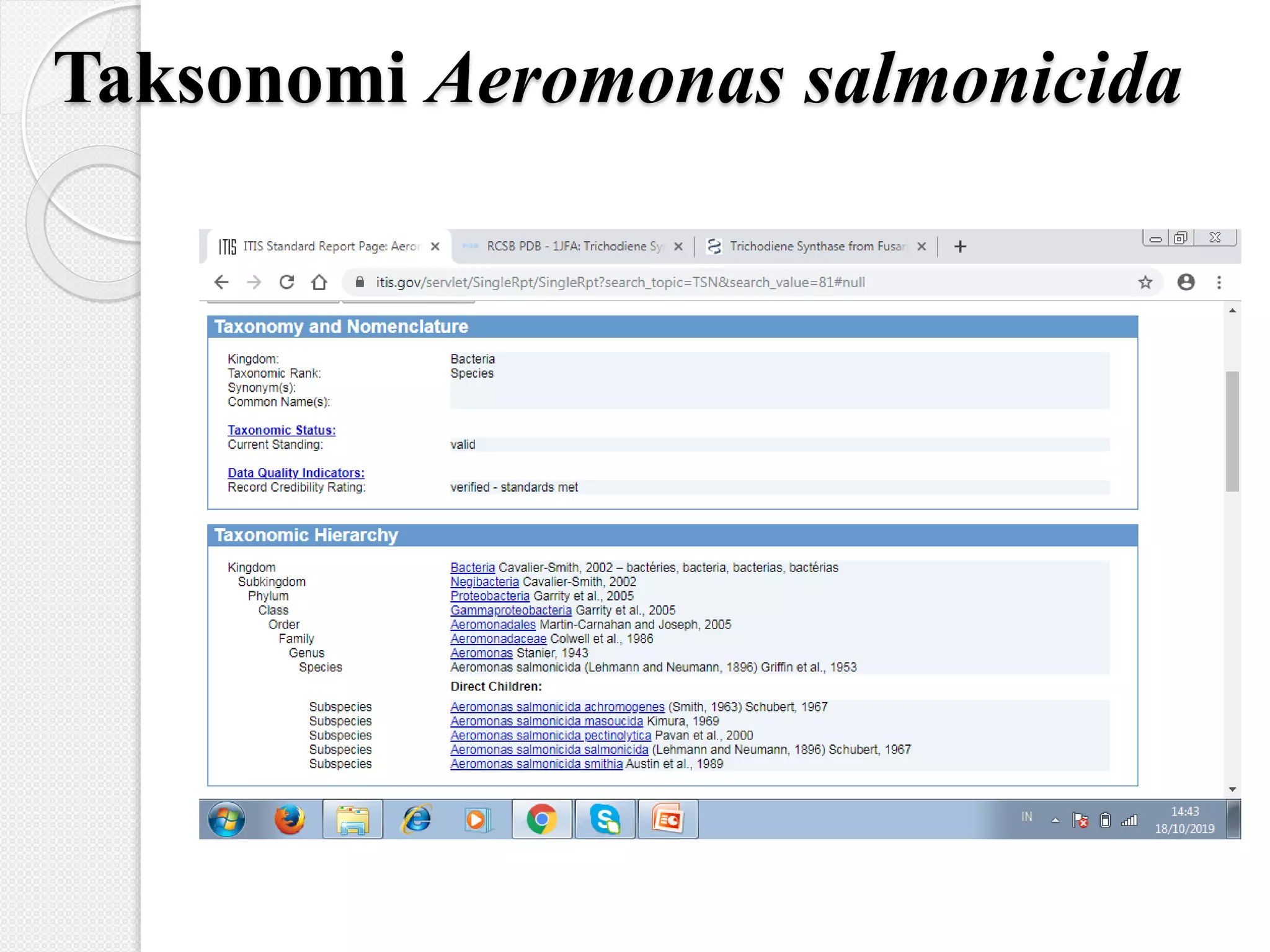 Kelompok 9 Perbandingan Struktur Protein pada Bakteri Aeromonas ...