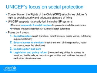 A Life Cycle Approach to Social Protection | PPTX
