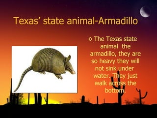 Tianeka (Rosa) Texas | PPT | American Football | Sports