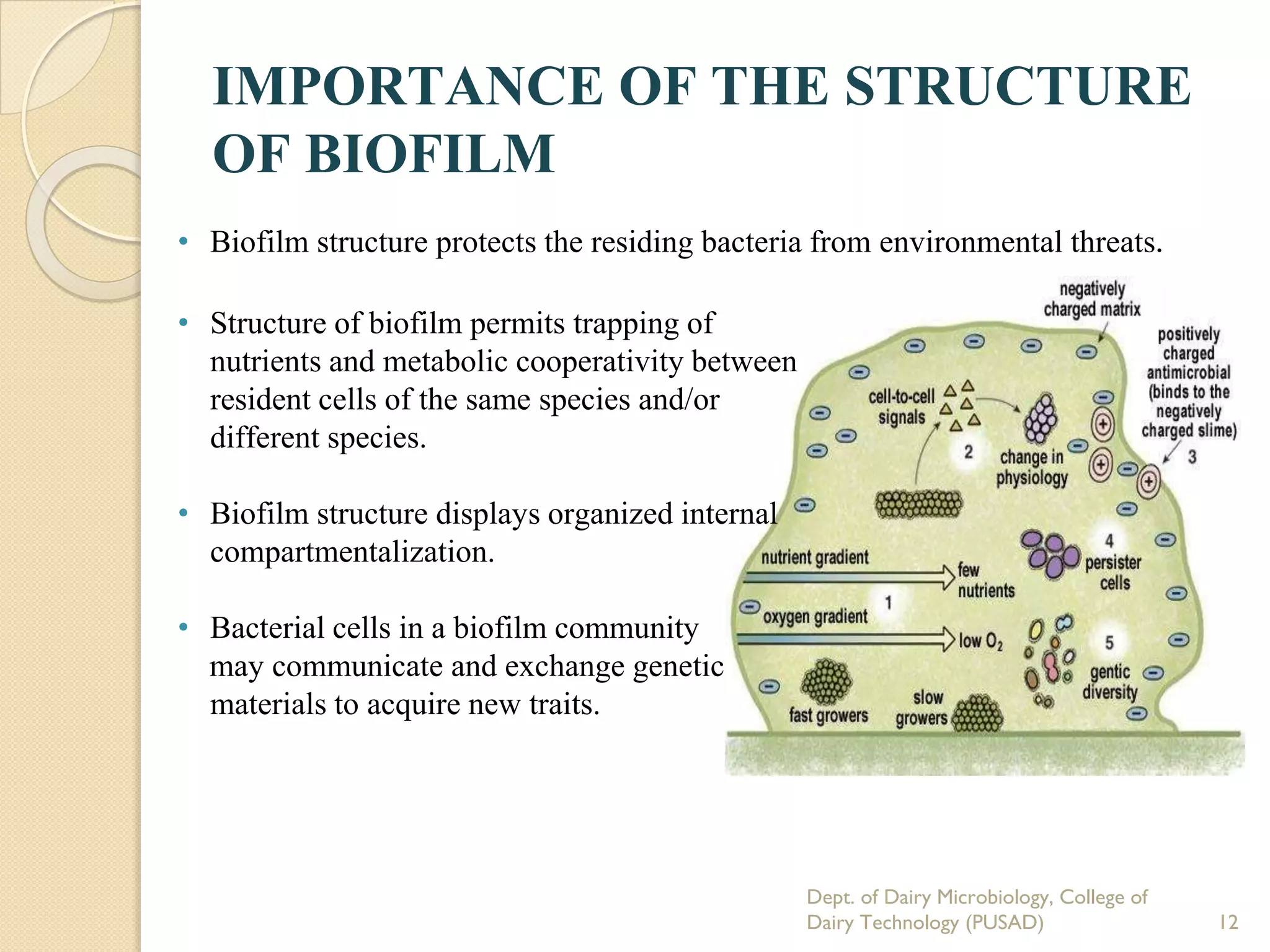 Biofilms | PPTX