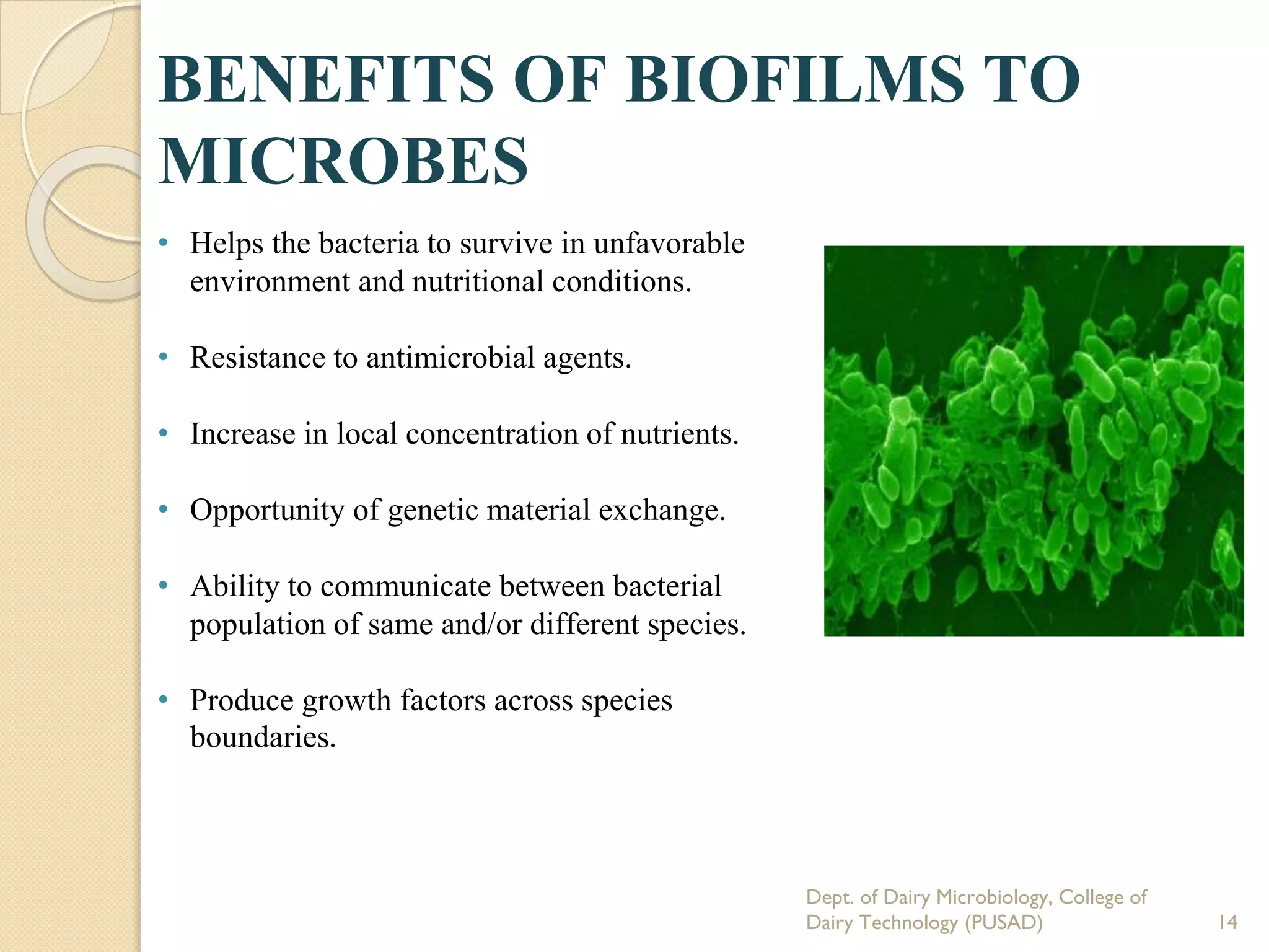 Biofilms | PPTX