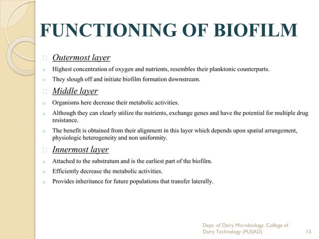 Biofilms | PPTX | Chemistry | Science