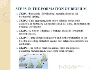Biofilms | PPTX