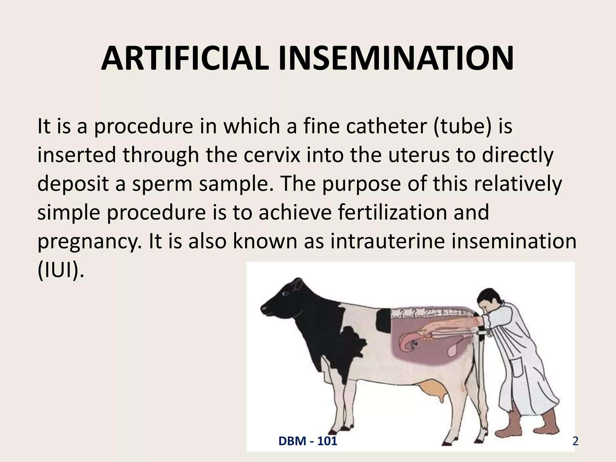 Importance of Artificial Insemination in Dairy Animals | PPTX