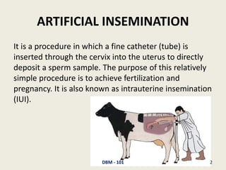 Importance of Artificial Insemination in Dairy Animals | PPTX | Infertility | Reproductive Health