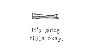 TIBIA n | PPT