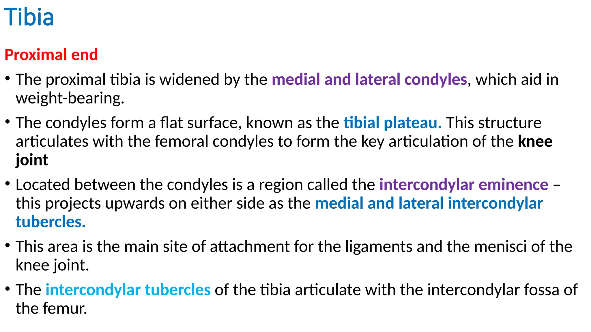 Tibia and Fibula p2.pptx . . . . . . . . . | PPTX
