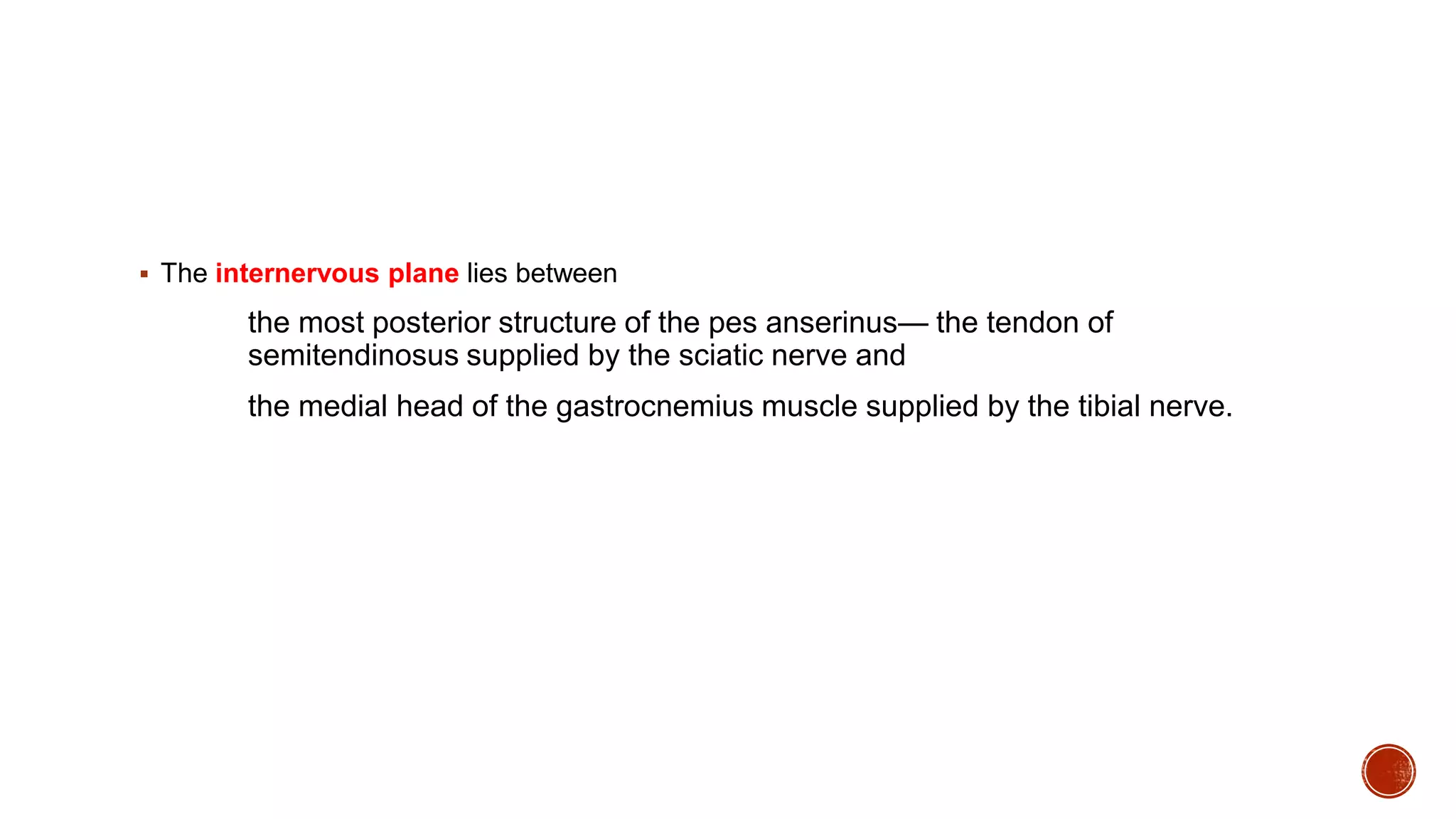 Proximal Tibia Surgical approaches | PPTX