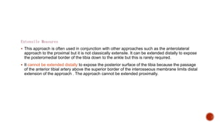 Proximal Tibia Surgical approaches | PPTX