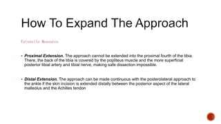 Proximal Tibia Surgical approaches | PPTX