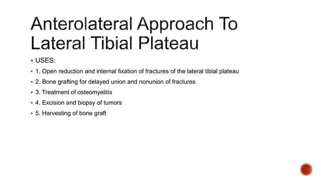 Proximal Tibia Surgical approaches | PPTX | Death, Injury, or Military ...