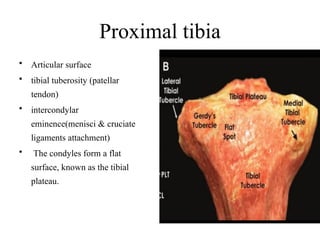 TIBIAL PLATEAU fracture power point presentation | PPTX