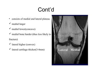 TIBIAL PLATEAU fracture power point presentation | PPTX