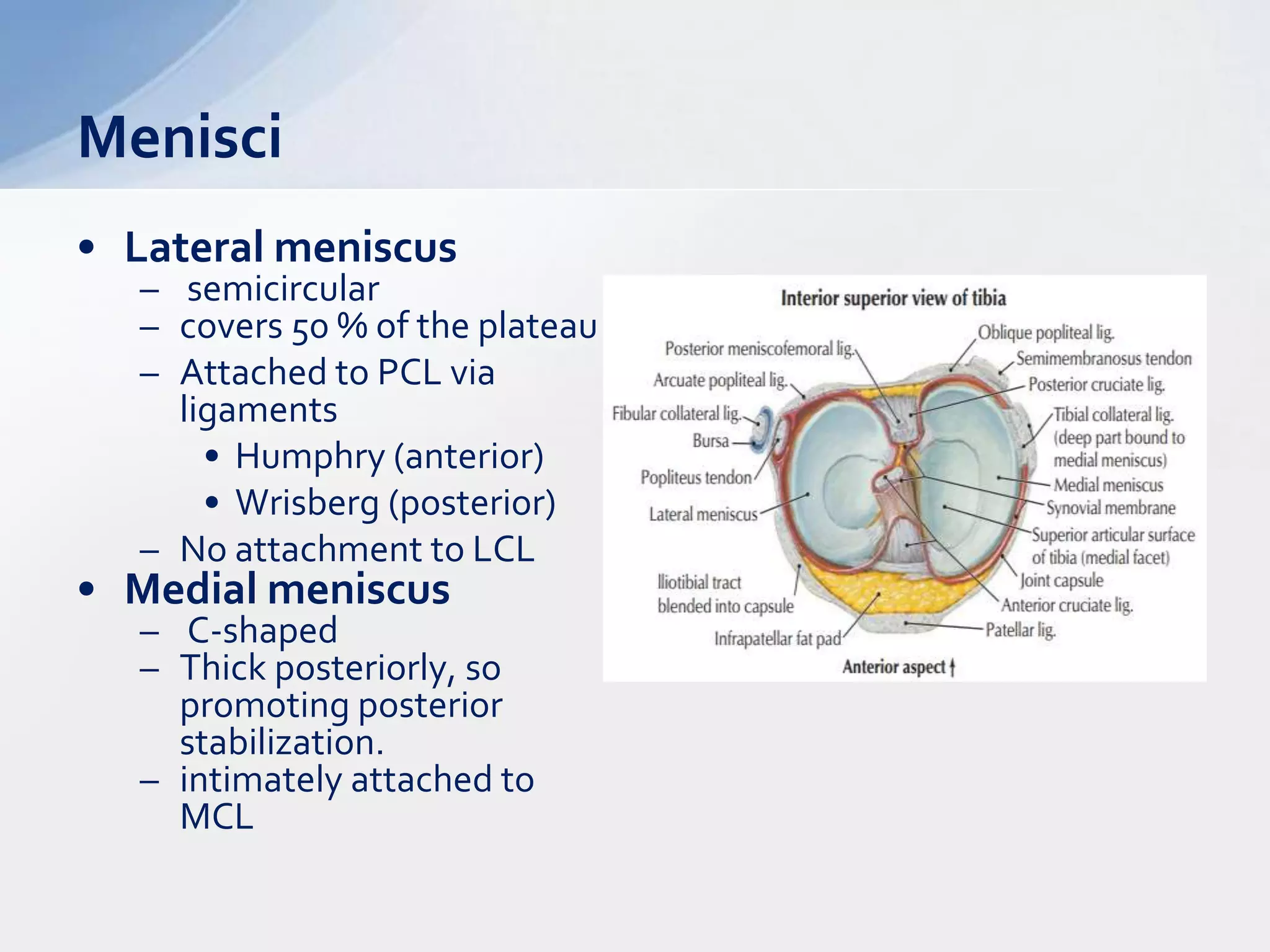 Tibial plateau fractures | PPTX
