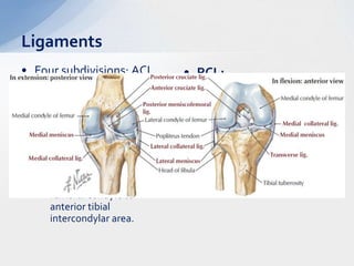 Tibial plateau fractures | PPTX