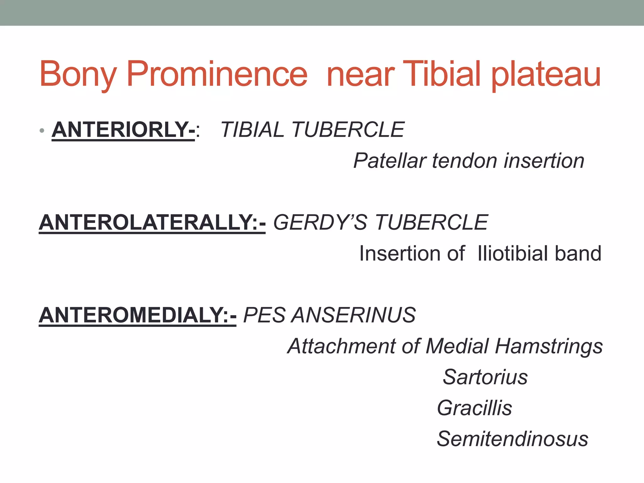 Tibial plateau fractures | PPTX