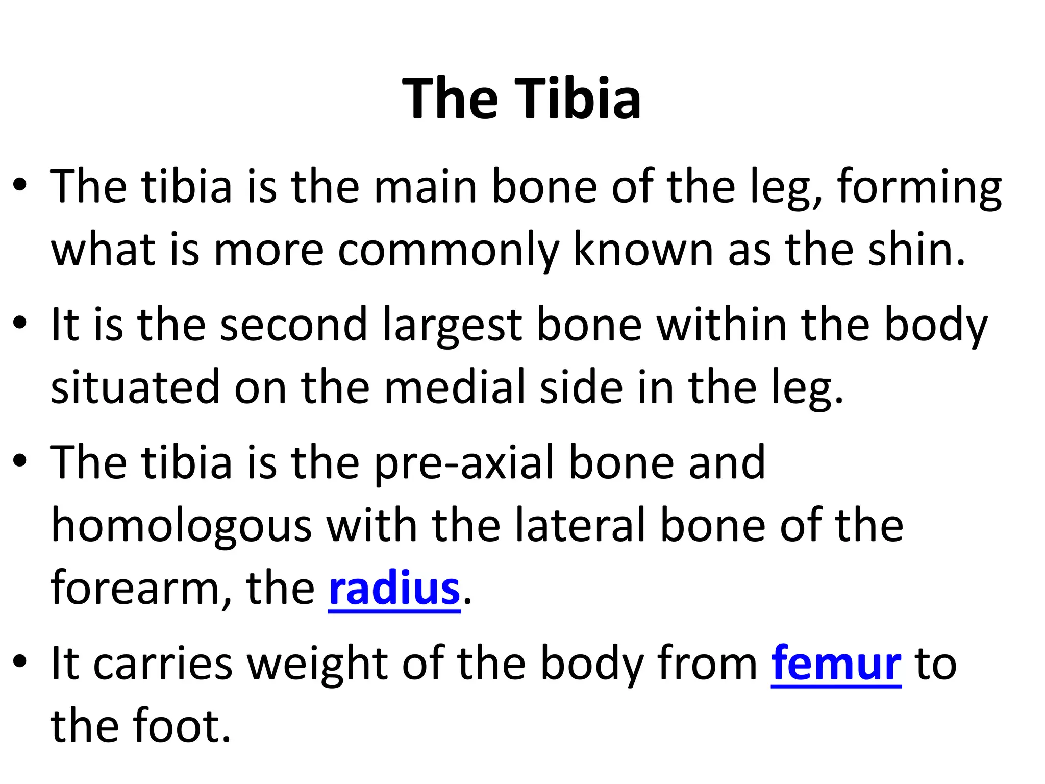 tibiashinbone-180421095730.pdf