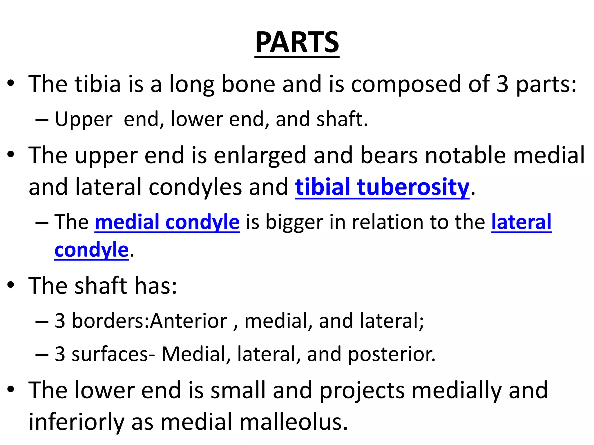 tibiashinbone-180421095730.pdf