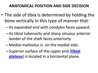 tibiashinbone-180421095730.pdf