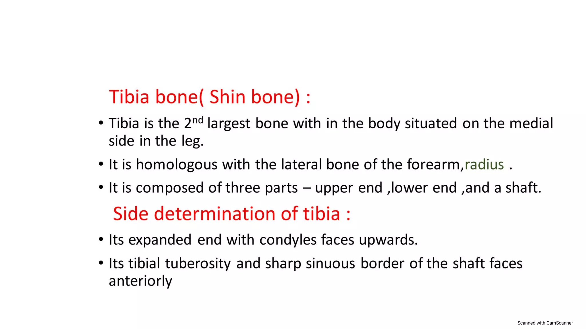 Tibia structure | PDF