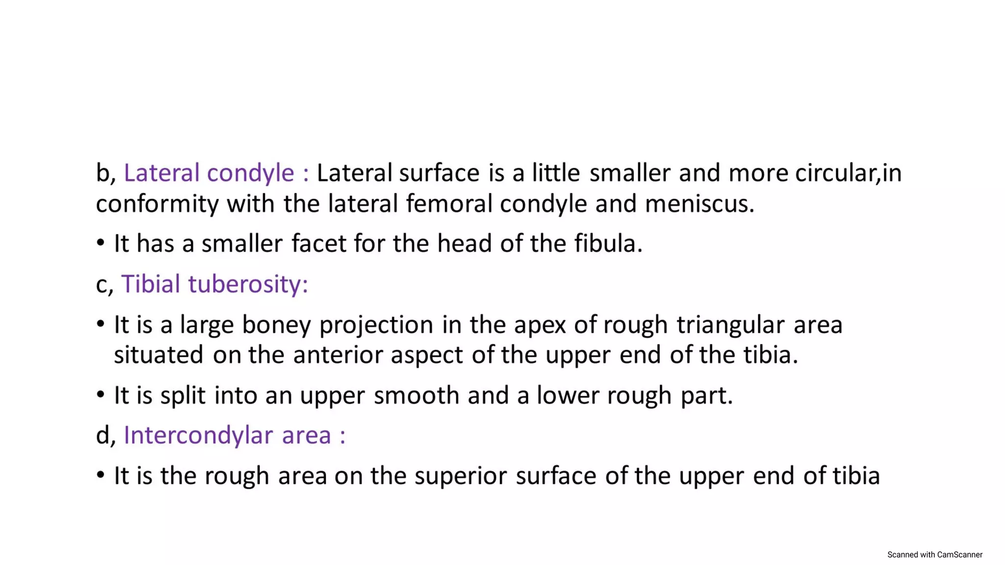 Tibia structure | PDF