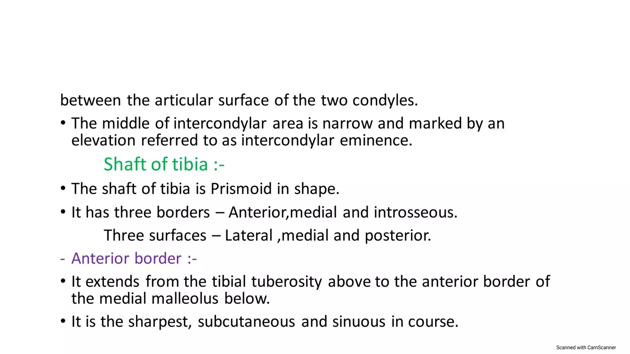 Tibia structure | PDF