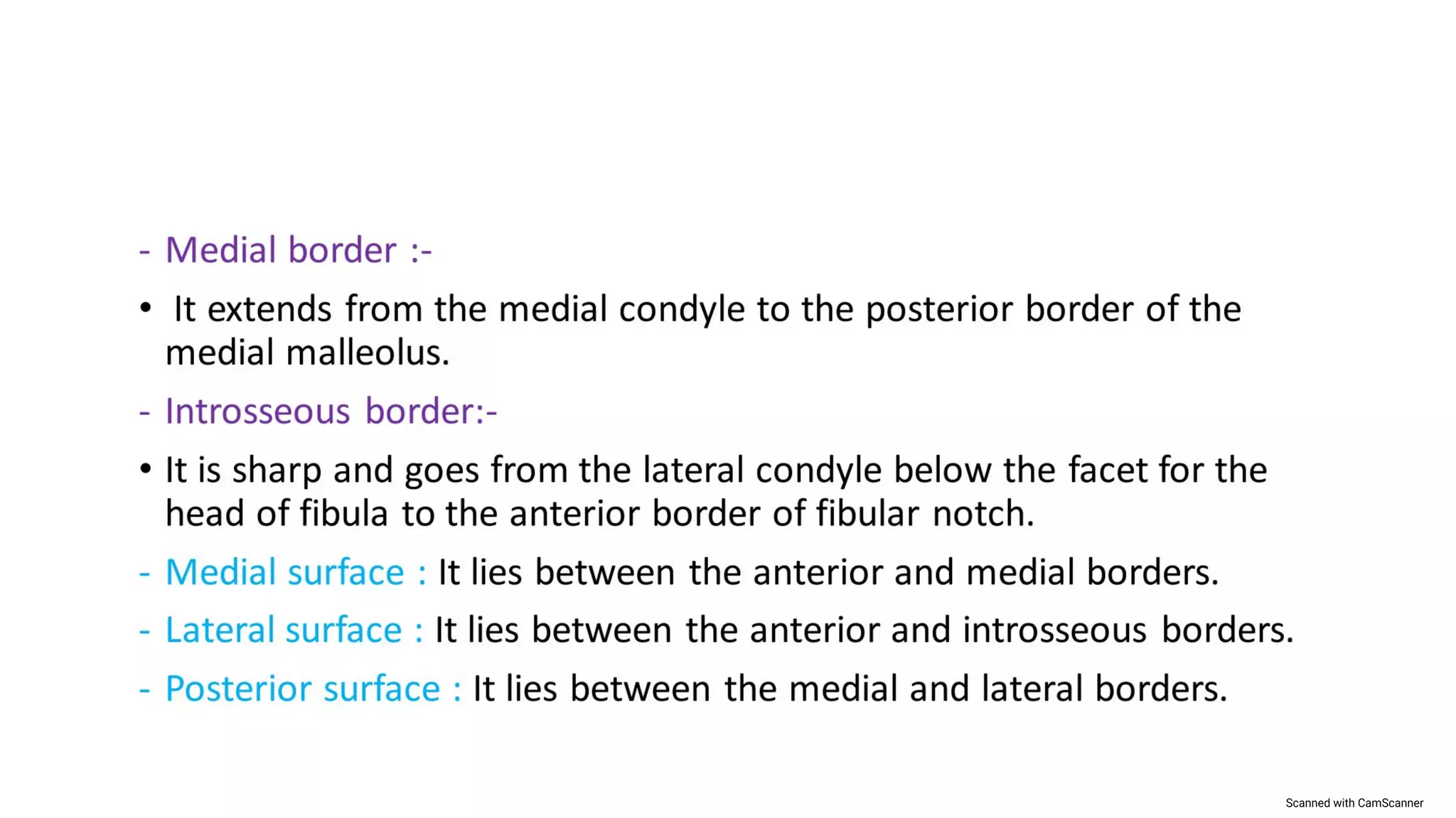 Tibia structure | PDF