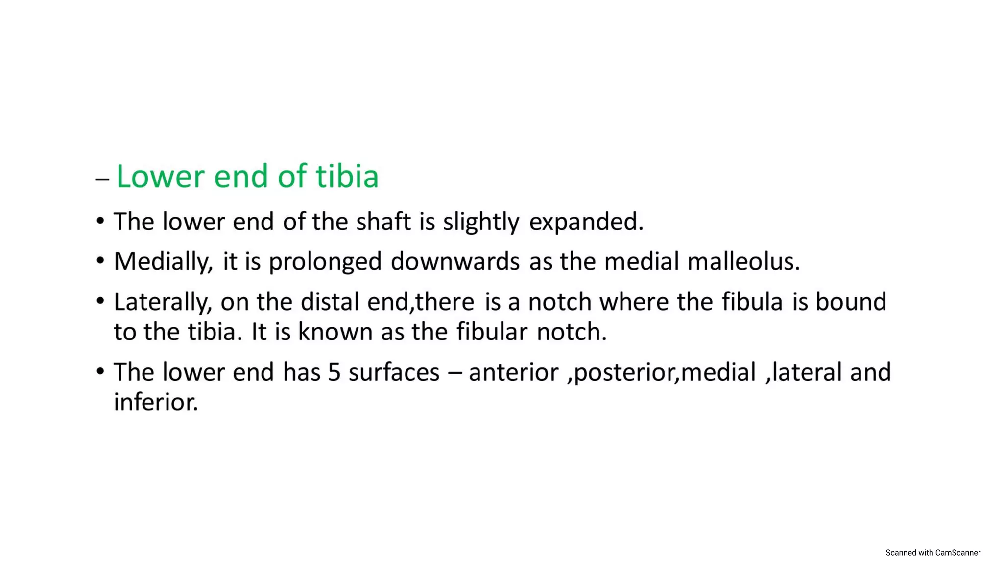 Tibia structure | PDF