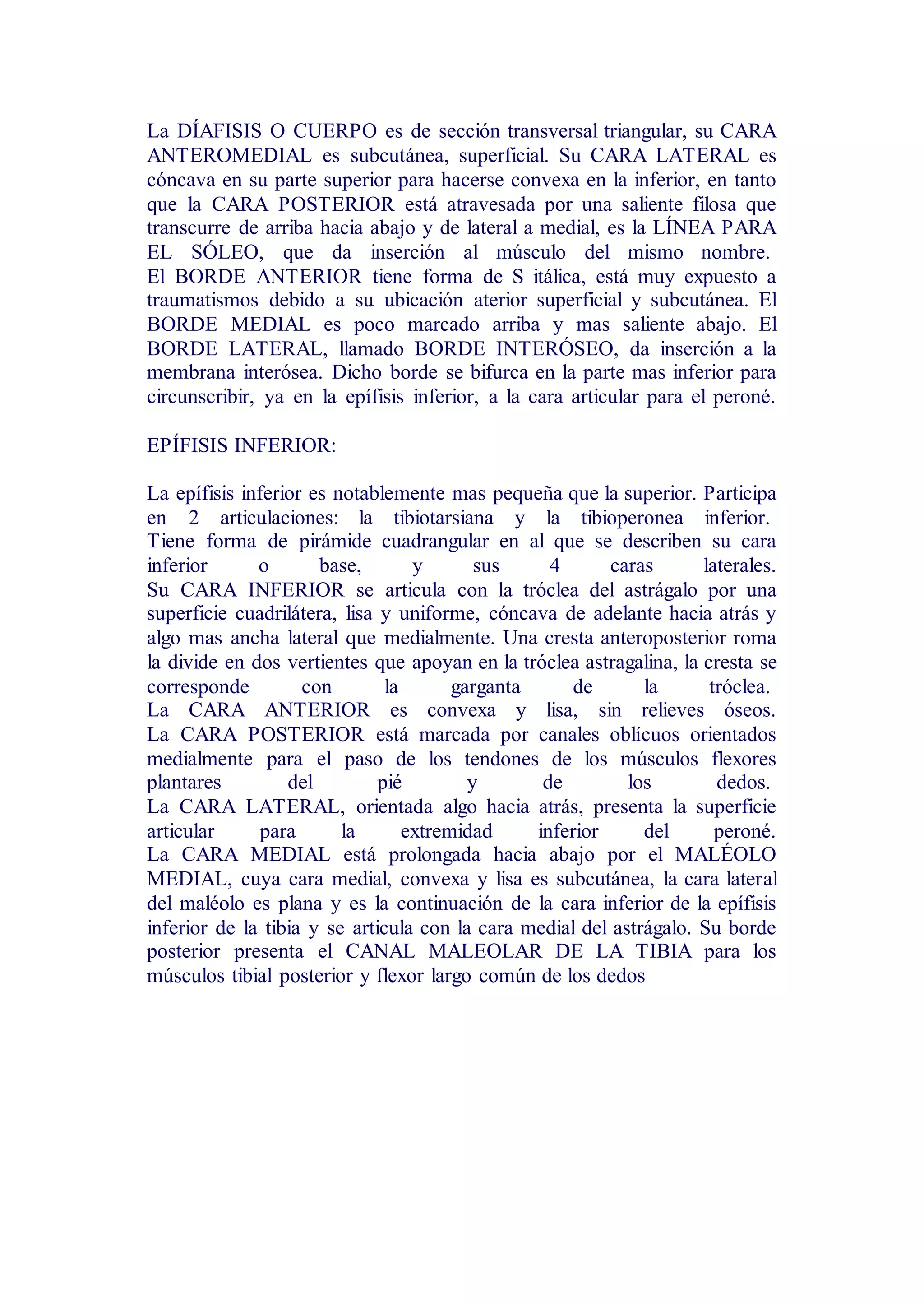 Tibia y perone | DOCX
