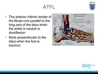 Tibiofibular and ankle joint complex | PPT