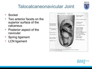 Tibiofibular and ankle joint complex | PPT