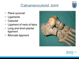 Tibiofibular and ankle joint complex | PPT