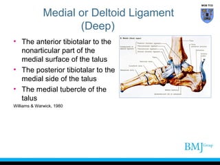 Tibiofibular and ankle joint complex | PPT