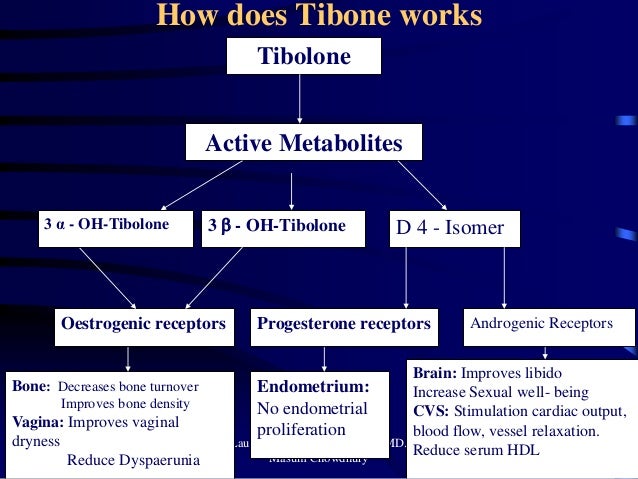 Tibone® (tibolone) technical discussion (training session)