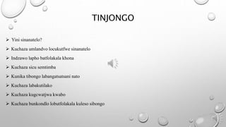 Tibongo netinanatelo | PPTX