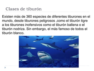 Tiburón definitiva | PPTX