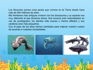 Los Tiburones de "El Prado" | PPT