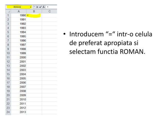 Prezentare functia ROMAN | PPT