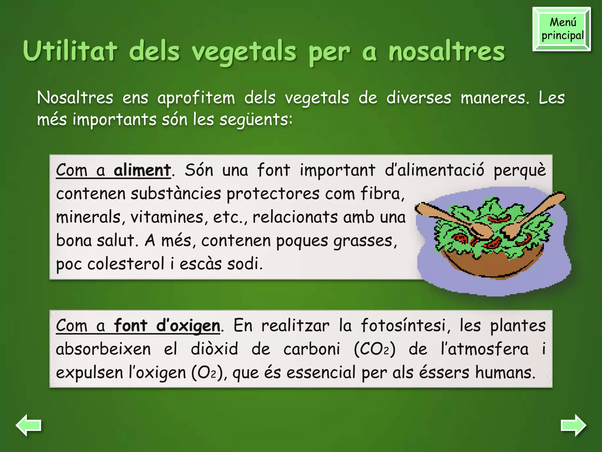 Els éssers vius. Els vegetals | PPTX