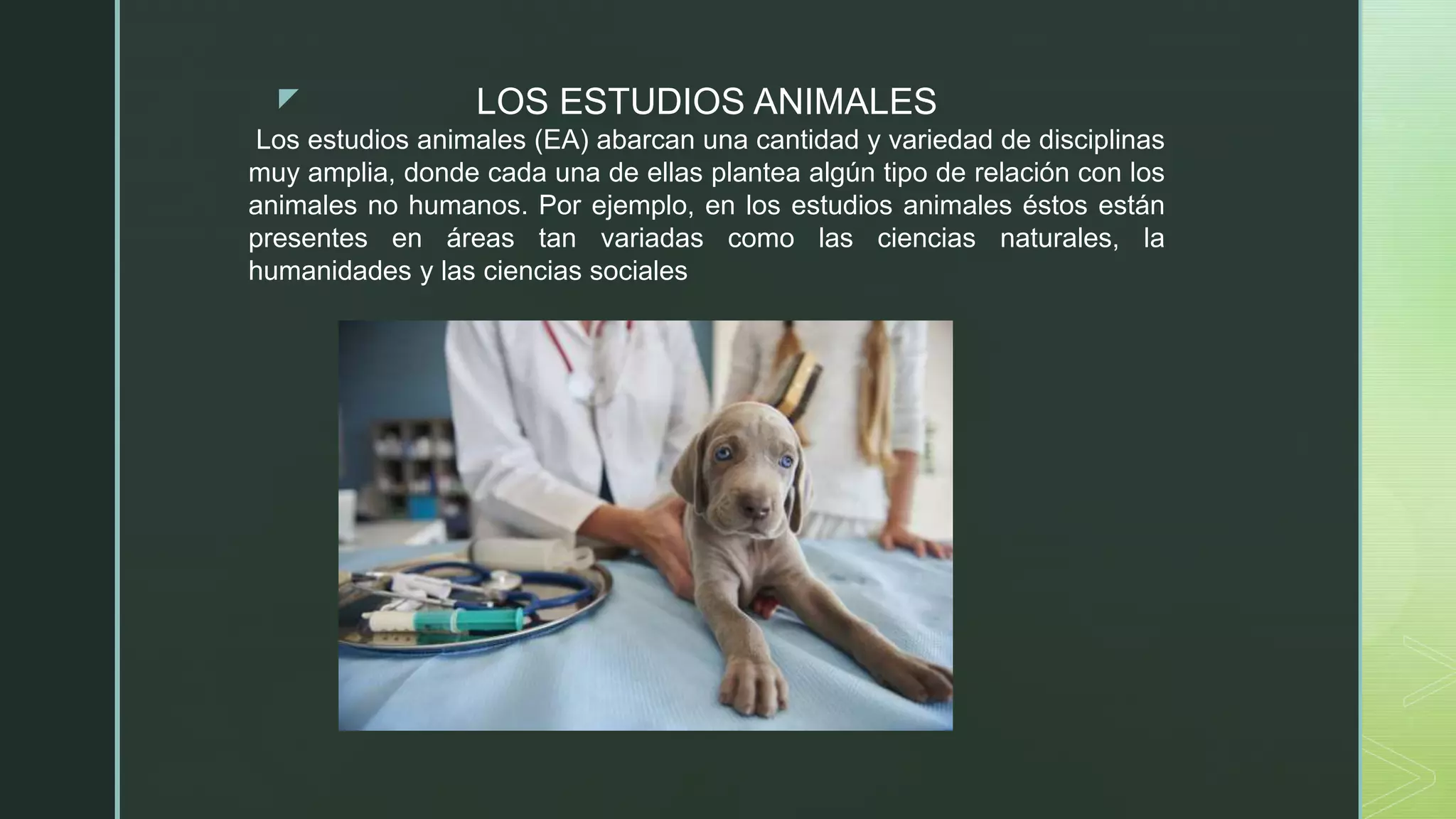 ÉTICA ANIMAL.pptx