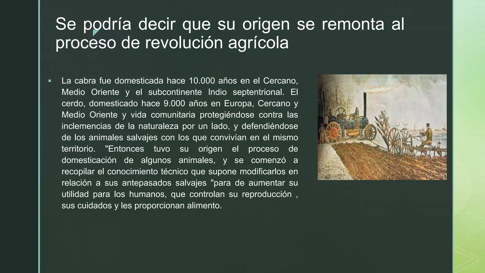 ÉTICA ANIMAL.pptx