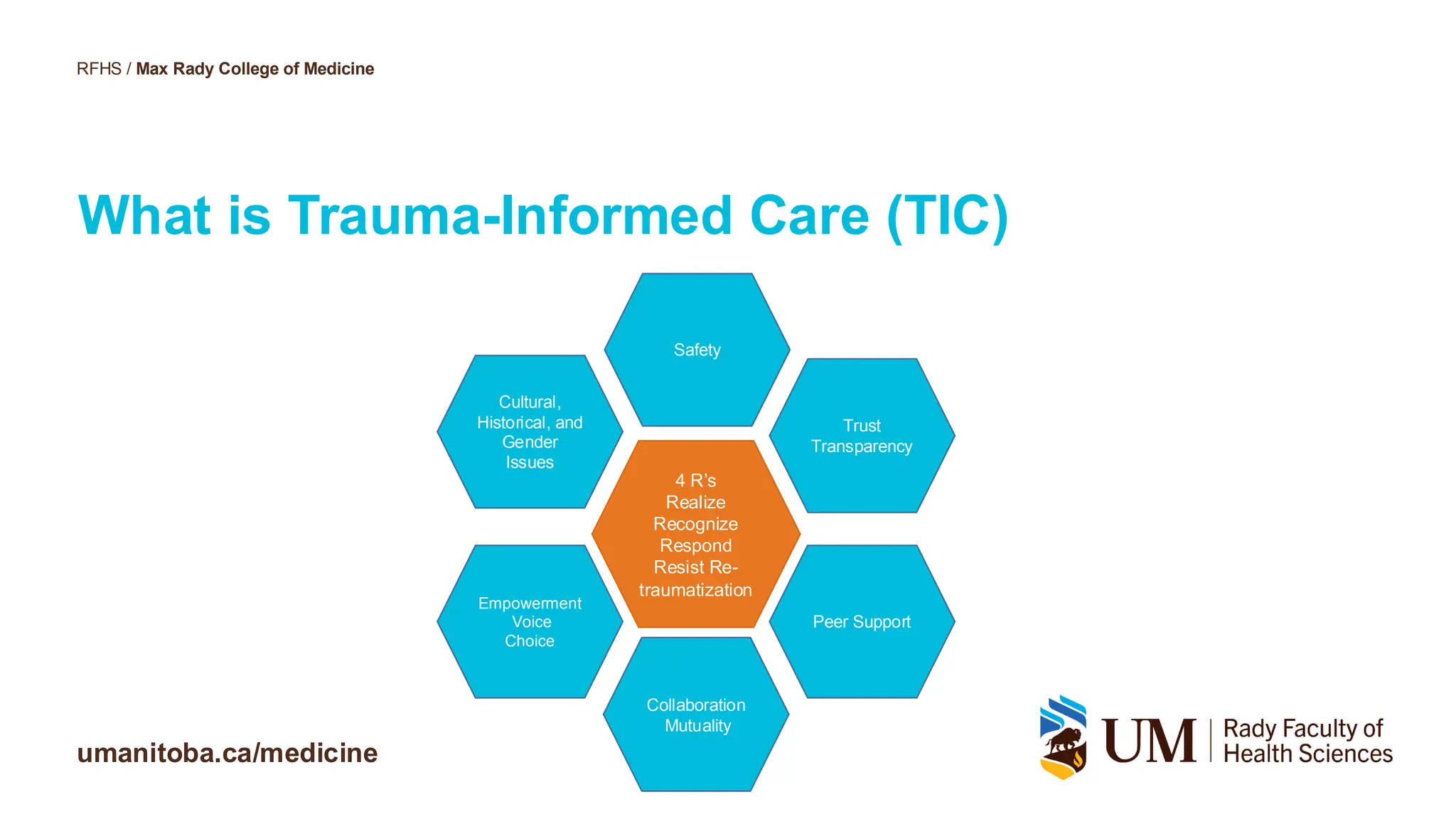 Working together in developing trauma-informed care education | PDF