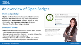 Open Badges: IBM Initiative to Attract, Engage and Progress Talent ...