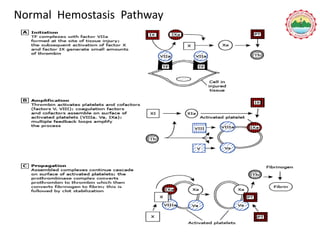 Trauma induced coagulopathy | PPTX