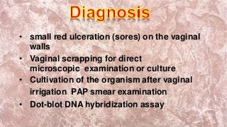 Trichomoniasis | PPTX