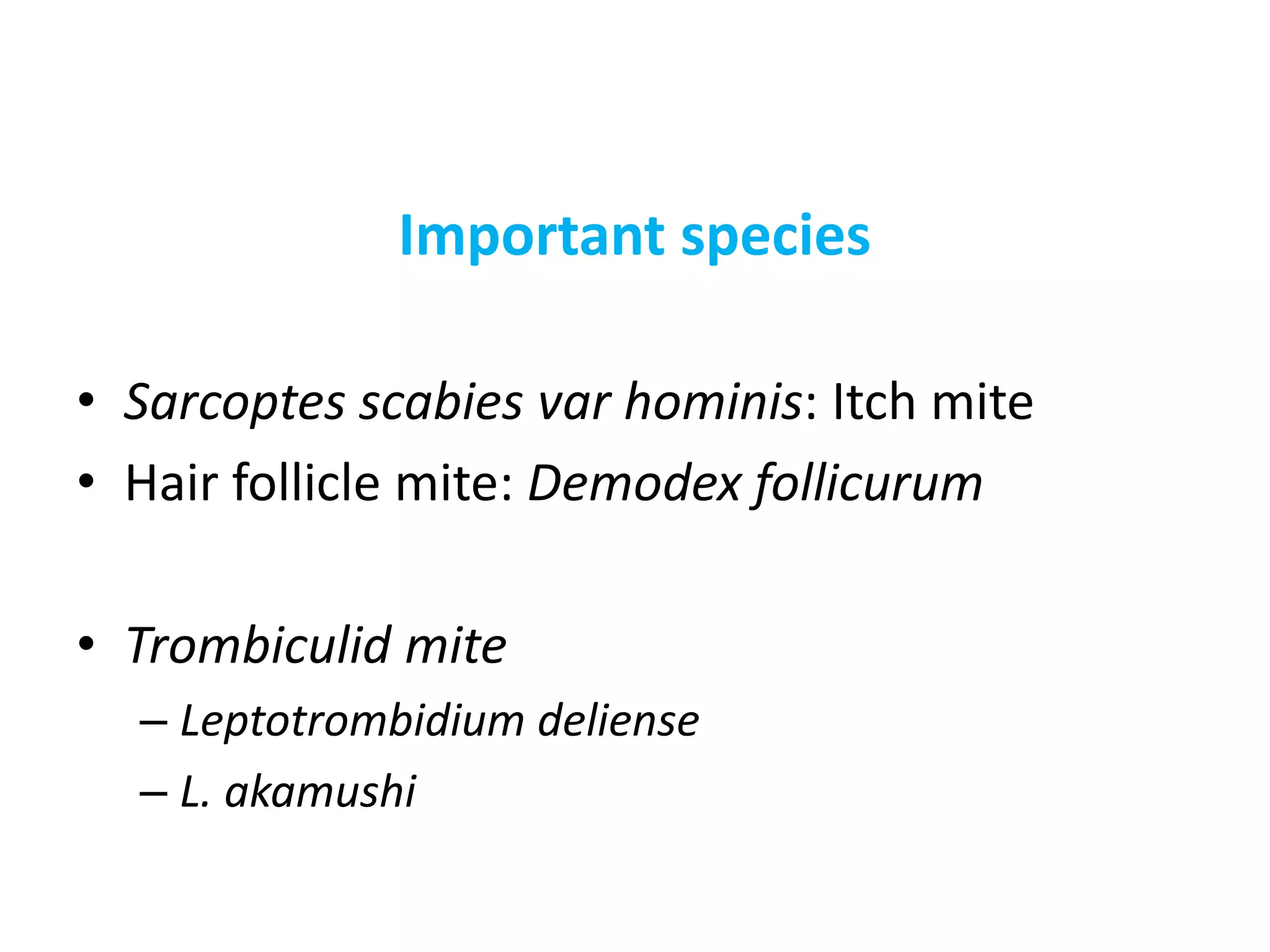Ticks & Mites | PPTX