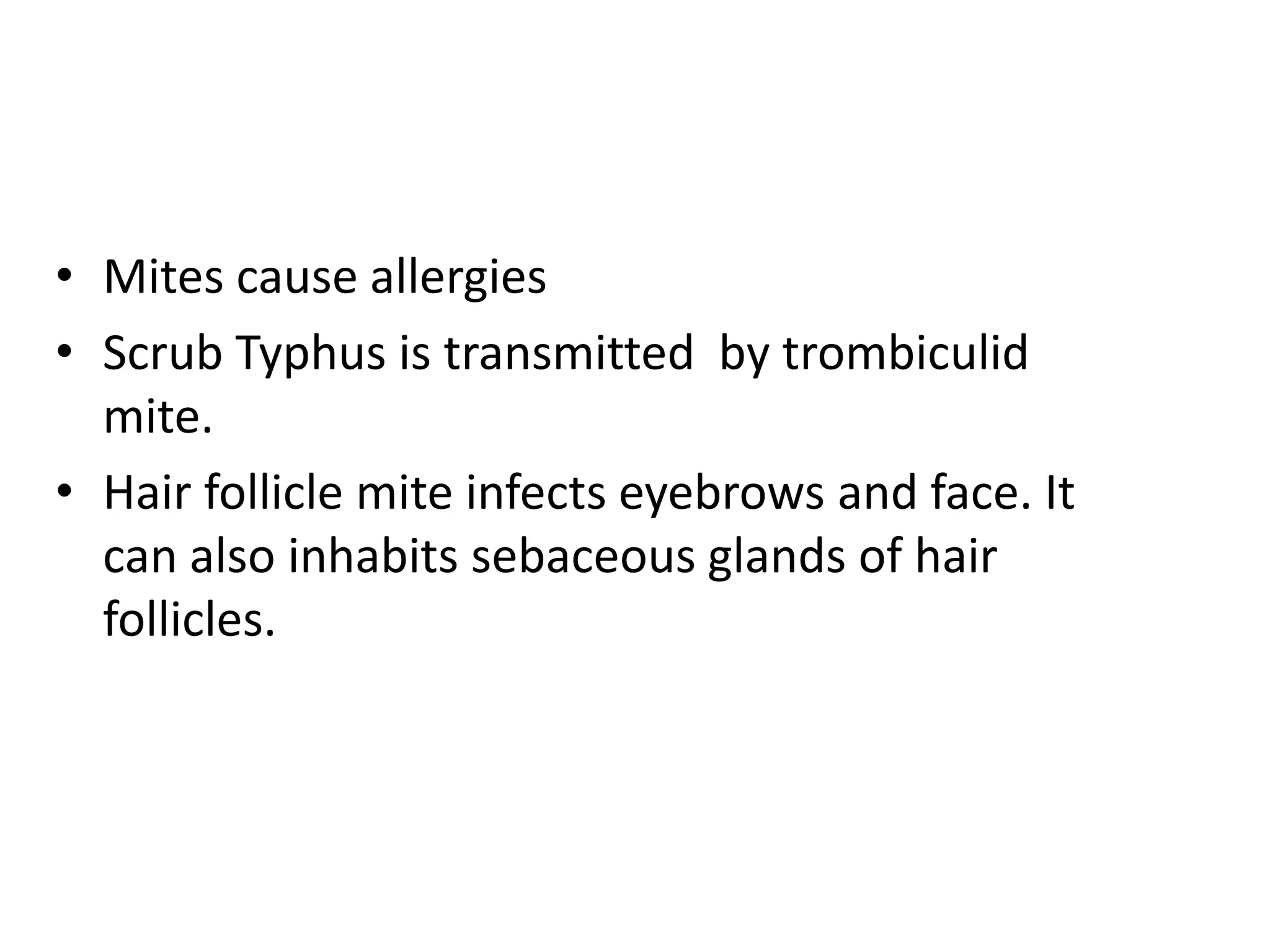 Ticks & Mites | PPTX